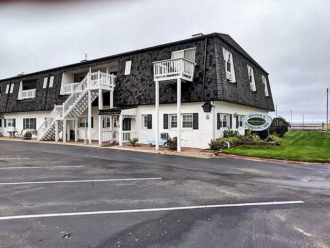 Snyder's Shoreline Inn proves that "waterfront accommodations" and "reasonable rates" can exist in the same universe.