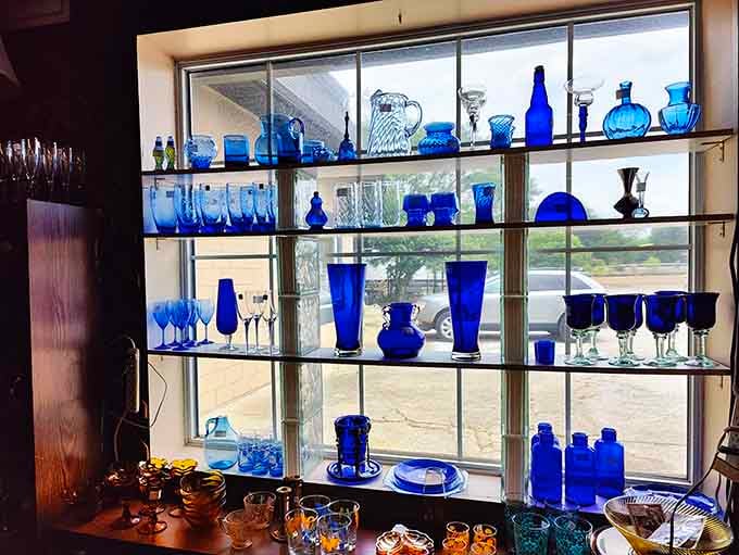 Cobalt blue glass catches the light like liquid sapphires, turning ordinary glassware into stunning window art.