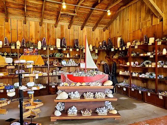 A rock shop where every specimen tells a geological story, and souvenirs actually mean something beyond "I was here."