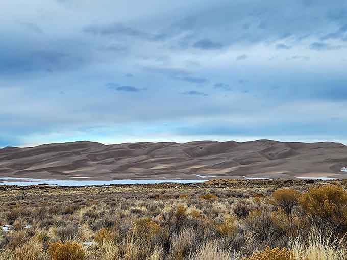 The view from the valley floor reveals the dunes' true scale, rising like a misplaced Sahara in Colorado.