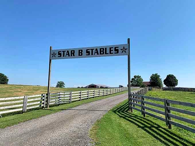 Star B Stables reminds you that Virginia horse country isn't just a tourism slogan, it's an actual way of life.