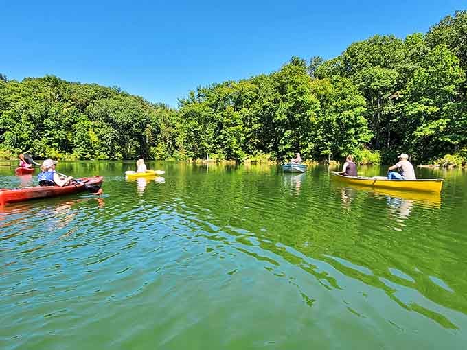 Kayakers glide across emerald waters surrounded by ancient forest, living their best life one paddle stroke at a time.