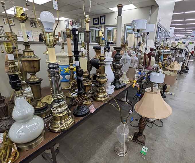 These lamps aren't just lighting fixtures&mdash;they're potential mood-setters for every room in your home, from elegant to delightfully eccentric.