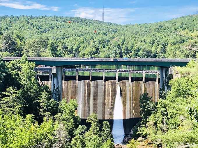 The dam may have changed the falls' flow, but it created its own kind of engineering marvel.
