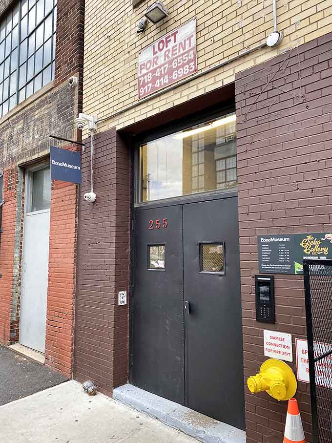This modest Brooklyn entrance leads downstairs to hundreds of specimens, proving the best discoveries are often underground.