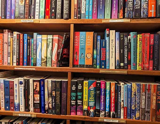 Young adult shelves bursting with colorful spines that adults secretly read and pretend they're buying for their kids or nieces.