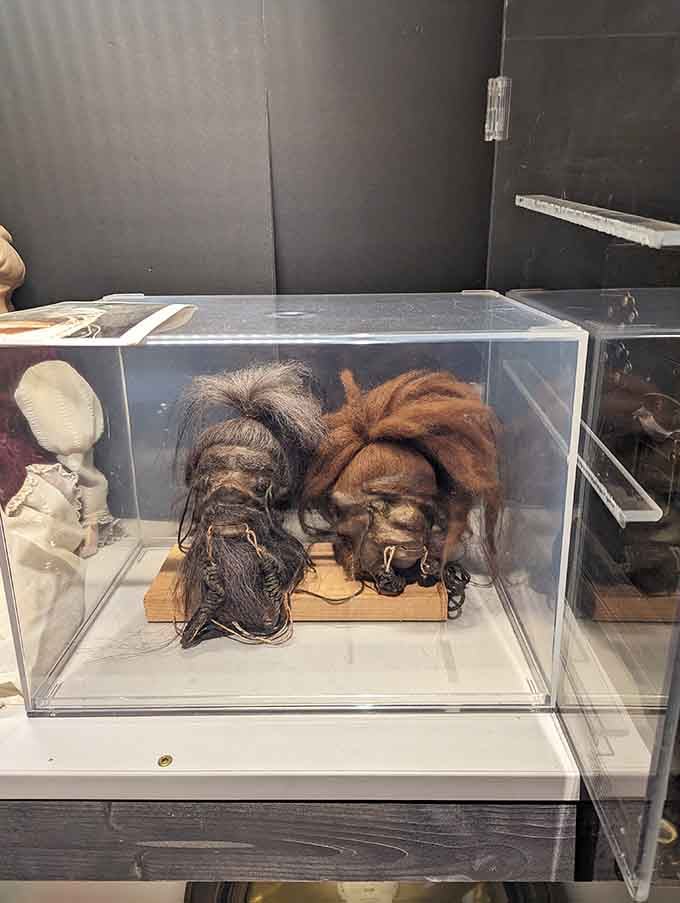 Shrunken head replicas and mysterious specimens remind you that the world still holds plenty of unexplained oddities and curiosities.