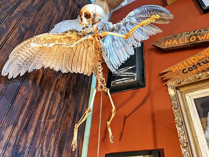 Death takes flight with feathered wings, soaring above vintage Halloween posters in a display of macabre artistry.