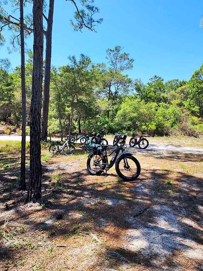 Fat-tire bikes ready to explore trails where the only traffic jam involves the occasional curious deer.