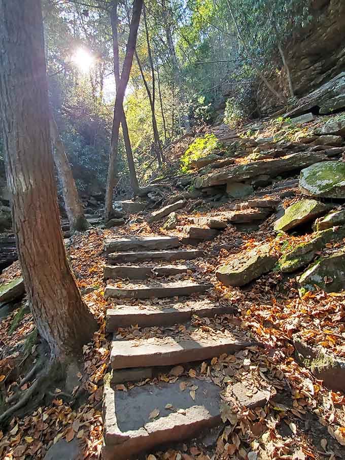 Stone steps climb through autumn leaves, leading hikers deeper into forest that feels untouched by modern times.