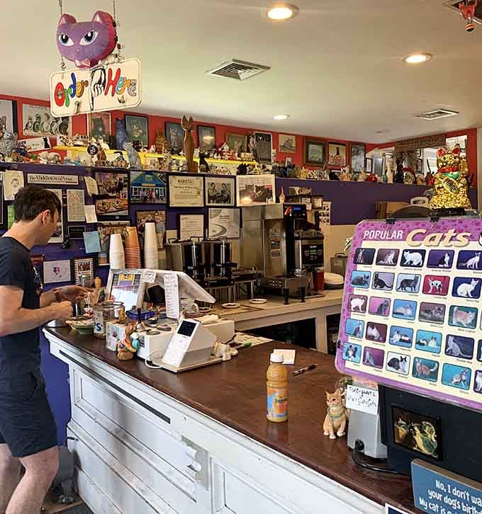 Behind the counter, organized chaos meets whimsical decor in the most delightful way possible.