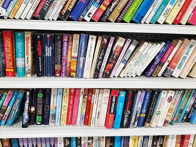 Books stand ready for new readers, stories waiting patiently to be discovered and loved again.