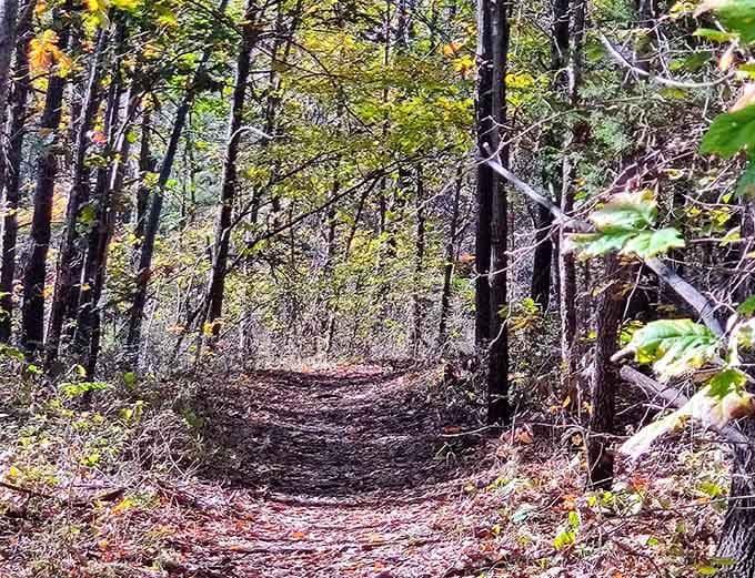 Rustic dirt trails take you off the beaten path, where the real adventure begins and cell service ends.
