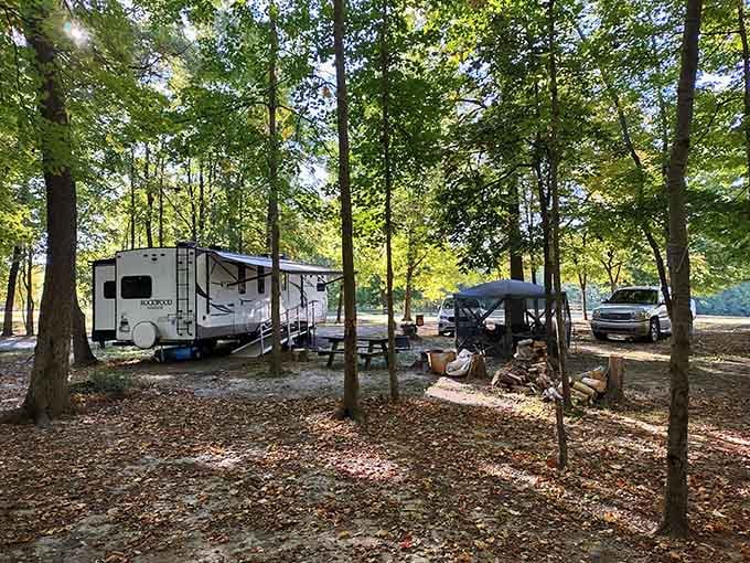 Camping among the trees at Shades means waking up to nature instead of traffic, which is priceless.