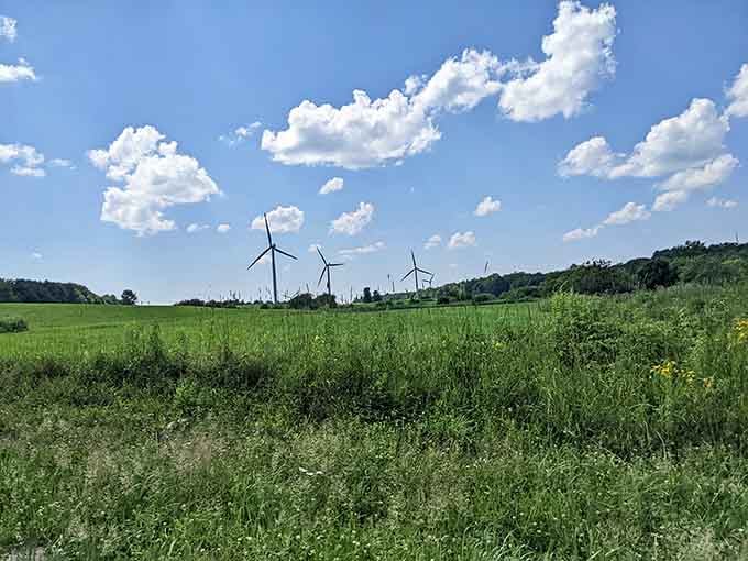 Rolling fields surrounding the park show off the rural beauty of the Tug Hill region in all its glory.