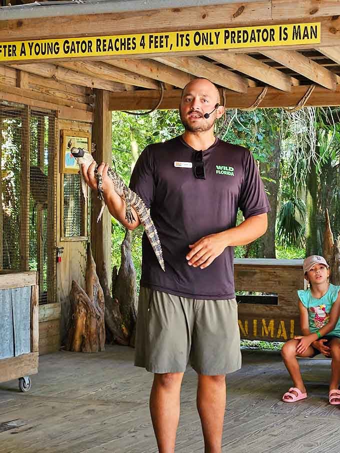 Educational presentations teach you fascinating facts about animals while you try not to think about how close that baby alligator is.