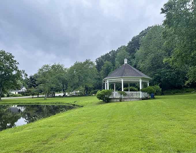 Green spaces like this remind you that parks are Connecticut's secret weapon against stress, traffic, and general modern life chaos.