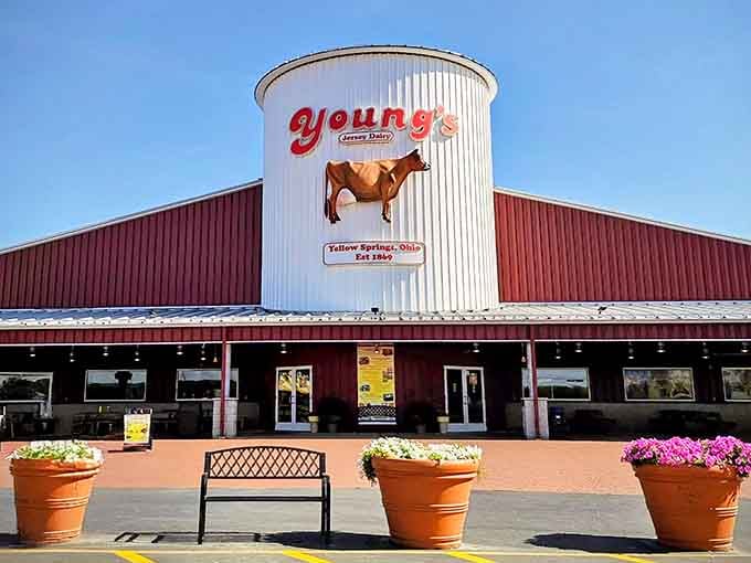 Young's Jersey Dairy, where the cows are happy and the ice cream is even happier to meet you.