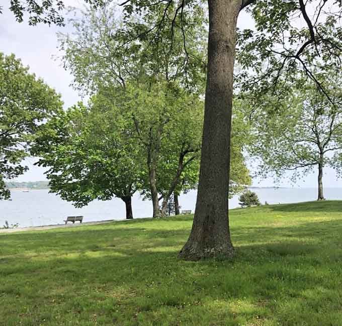 Tall trees stand sentinel over the shoreline, offering dappled shade for those who prefer their vitamin D in smaller doses.