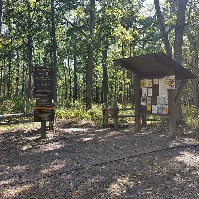 Trail markers that promise adventure without the fear of becoming tomorrow's search and rescue headline. Follow them, your phone battery will thank you.