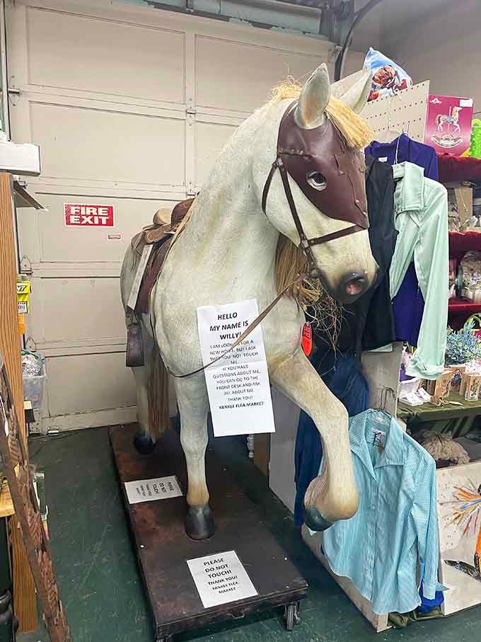 Meet Willy the life-sized horse, complete with saddle and a sign explaining he's not actually for riding, despite temptation.