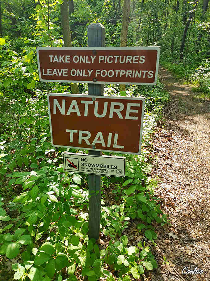 Take only pictures, leave only footprints &ndash; nature's version of the "clean up after yourself" note your mom left on the fridge.