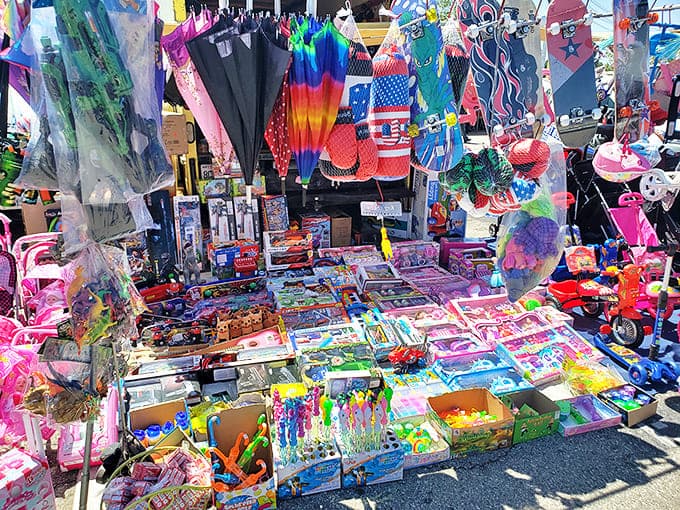 Toy wonderland where childhood dreams come true without the theme park prices. Something for every kid (and kid-at-heart).