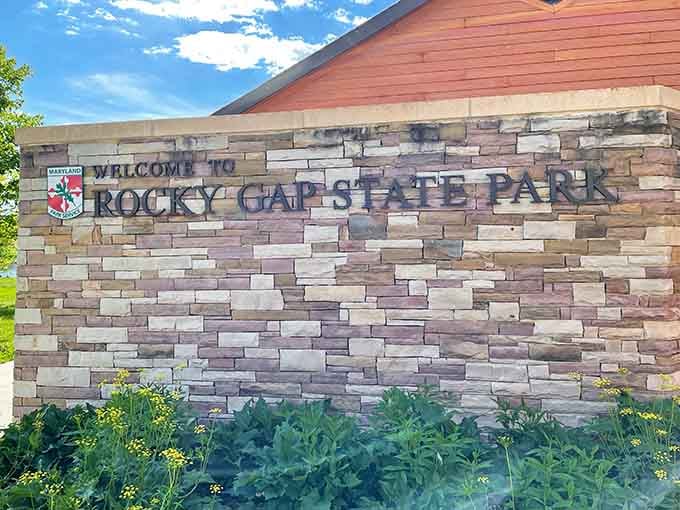 The stone entrance sign welcomes nature lovers with rustic charm. First-timers often gasp, repeat visitors simply smile knowingly.