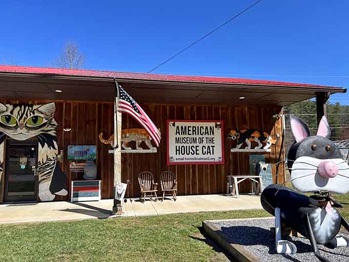 That giant cat statue outside greets visitors like a furry bouncer welcoming you to the world's friendliest club.