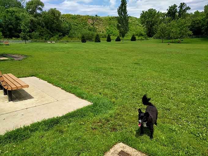 Liston Dog Park offers green space where your four-legged friend can stretch their legs while you contemplate life's simpler pleasures.