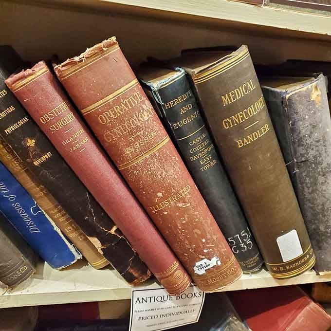 Antique medical books line the shelves, their worn spines holding knowledge from eras when doctoring was considerably more adventurous.