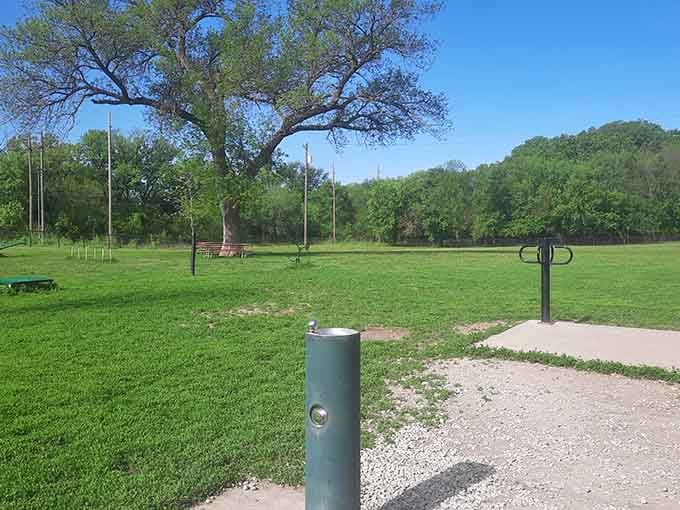Beatrice's pet park offers wide-open spaces where four-legged residents can run free while their humans debate the merits of different dog food brands.