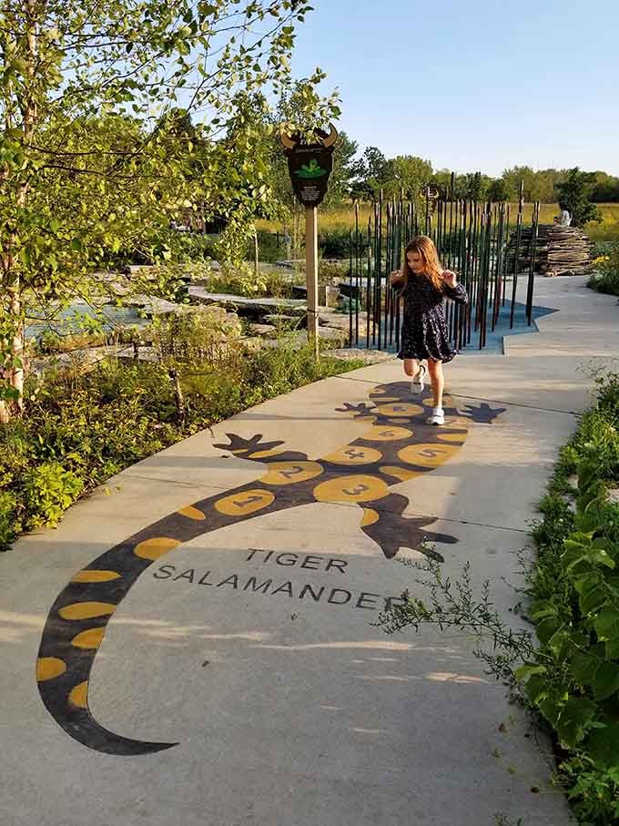 Pathways decorated with wildlife tracks, teaching kids to identify animals while they're busy having too much fun.