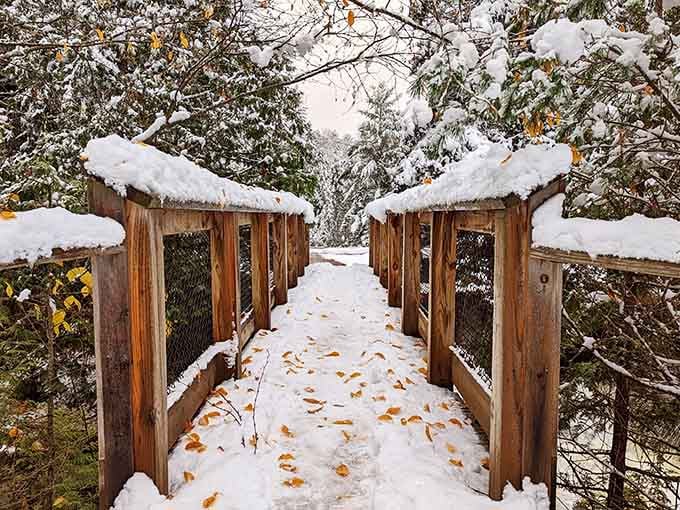 Winter transforms the boardwalk into a snowy wonderland, proving Bond Falls delivers magic in every season.