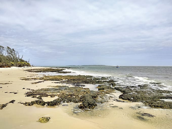 Every weathered branch and twisted trunk tells a story of survival, surrender, and stunning transformation.