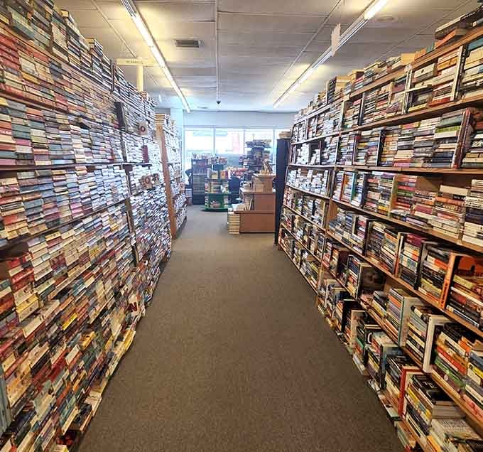 These narrow aisles between towering shelves turn book browsing into an adventure where every turn reveals new possibilities and hidden treasures.