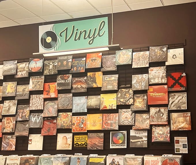 Vinyl records displayed like art remind us that music sounds better when you can hold it.