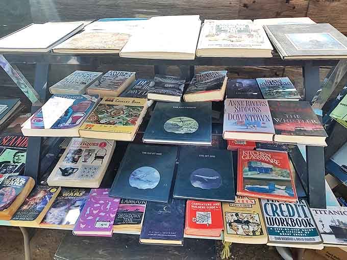 Literary treasures await the curious browser. From bestsellers to forgotten classics, these pages hold adventures for just a few dollars each.