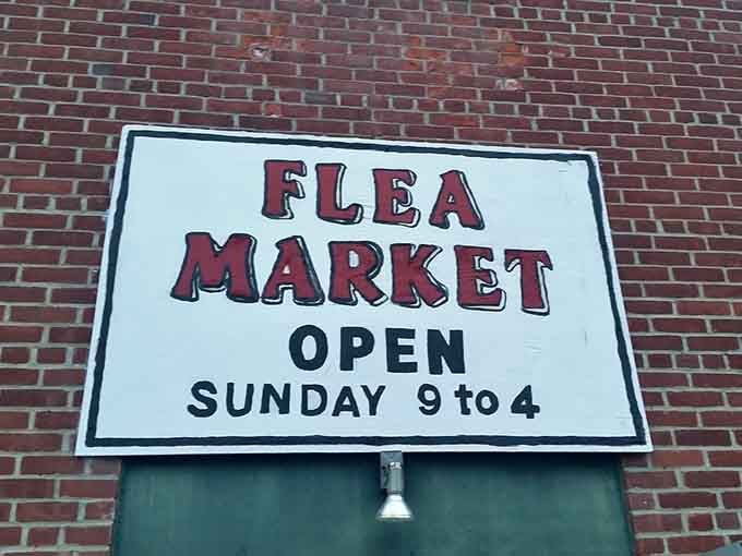 The sign that launches a thousand Sunday adventures. These seven hours transform ordinary weekends into expeditions of discovery.