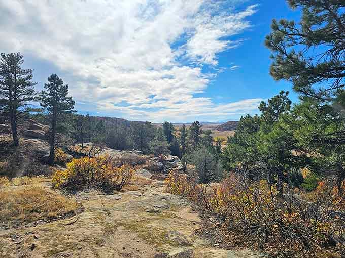 Autumn colors splash across the canyon, proving that Colorado's beauty extends far beyond its famous mountains.