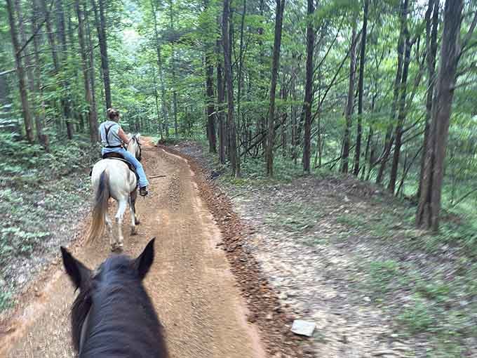 Trail riding through shaded forests lets you explore cave country the old-fashioned way, one hoofbeat at a time.