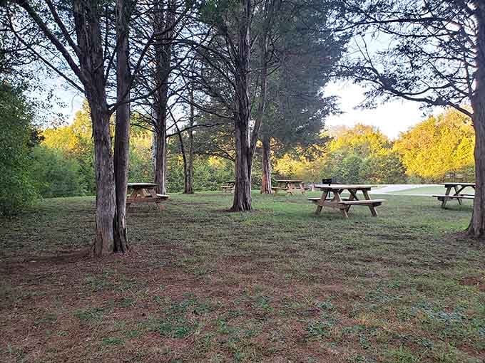 Picnic areas provide perfect spots to rest and reflect on the layers of history hidden beneath these peaceful Indiana woods.