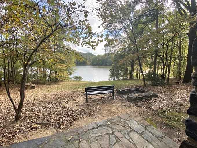 A bench with a lake view that's seen more deep thoughts and sandwich wrappers than most therapists.