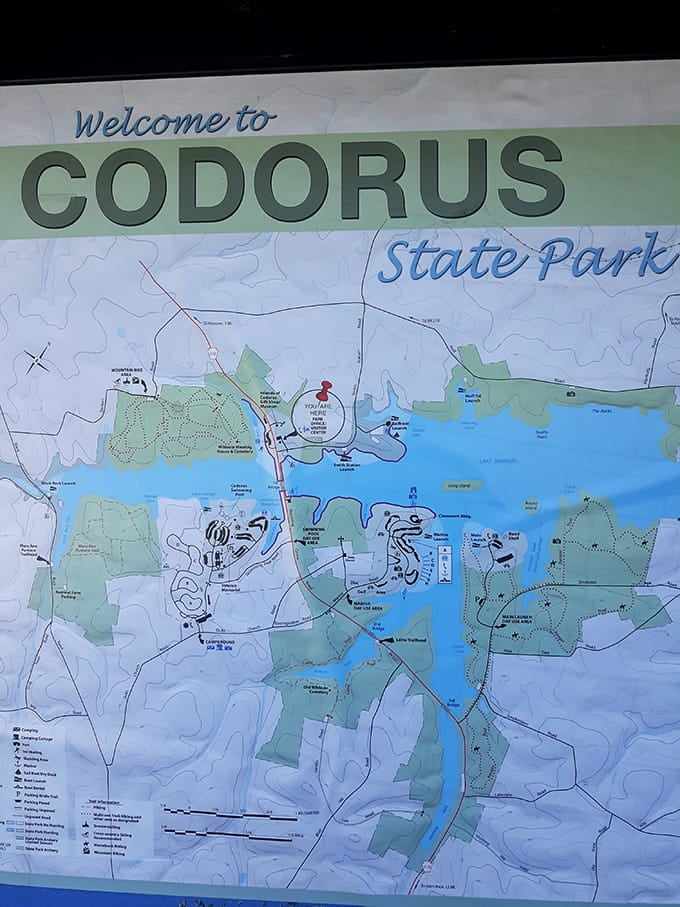 This map holds the secrets to your perfect day, laid out clearer than most life plans.