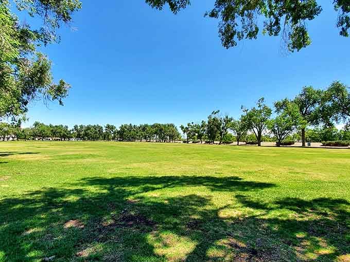 Cole Park's expansive green lawns offer space to breathe, play, and remember what yards used to look like everywhere.
