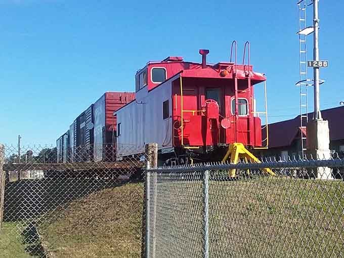That bright red caboose pops against the sky, reminding us when every freight train needed one.