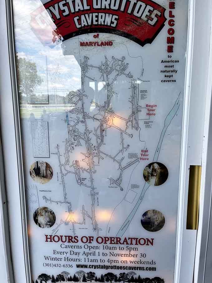 America's most naturally kept caverns aren't just a claim, they're a promise you'll see fulfilled underground.