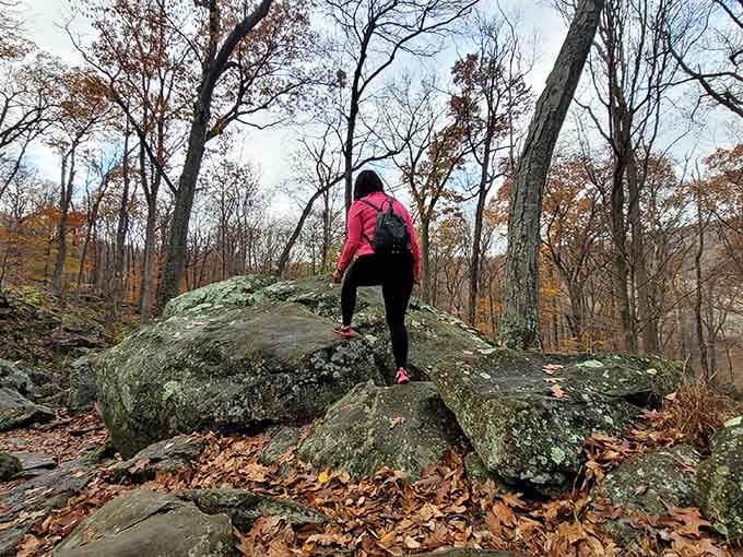 Hikers conquer rocky terrain one boulder at a time, because the best views require a little effort.