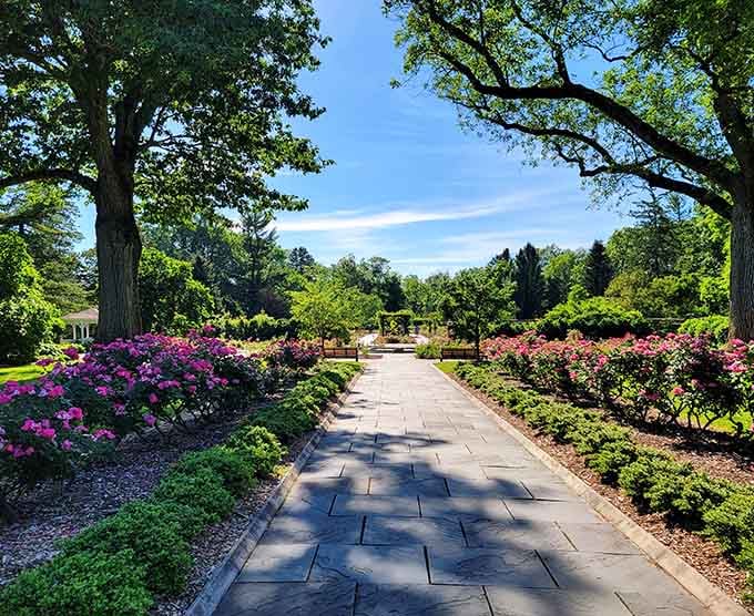 Manicured garden paths lined with colorful azaleas that make your backyard look like a neglected parking lot.