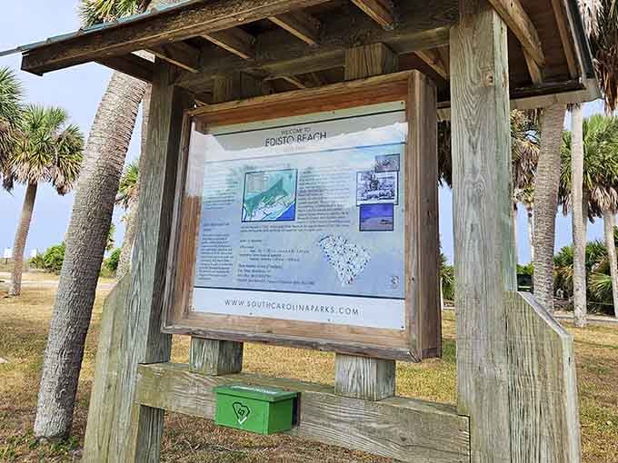Educational displays help you appreciate what you're seeing, though honestly the scenery does most of the teaching itself.